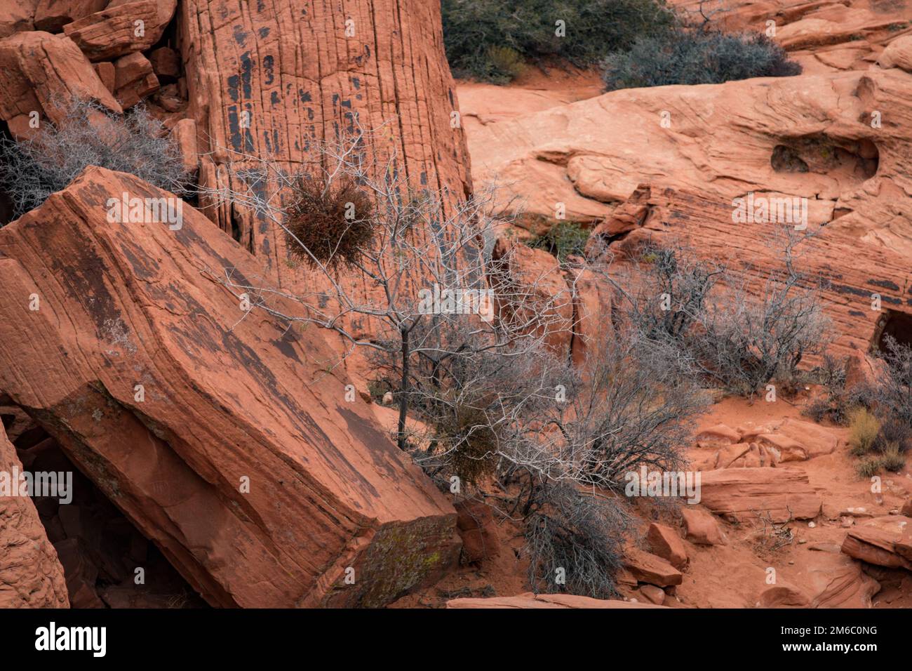 Red Rock in the Red Rock Canyon National Conservation Area, USA Stock ...