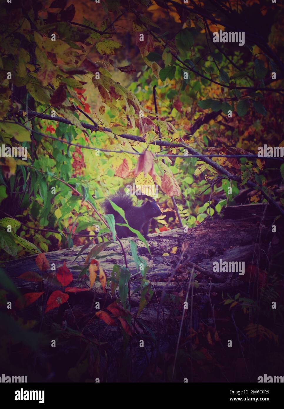 Fall 2022 hi-res stock photography and images - Alamy