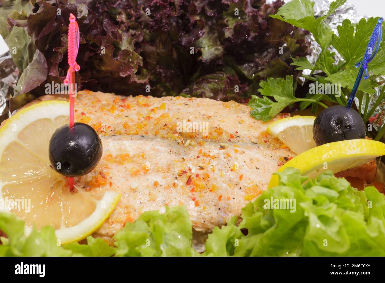 Fish training hi-res stock photography and images - Alamy