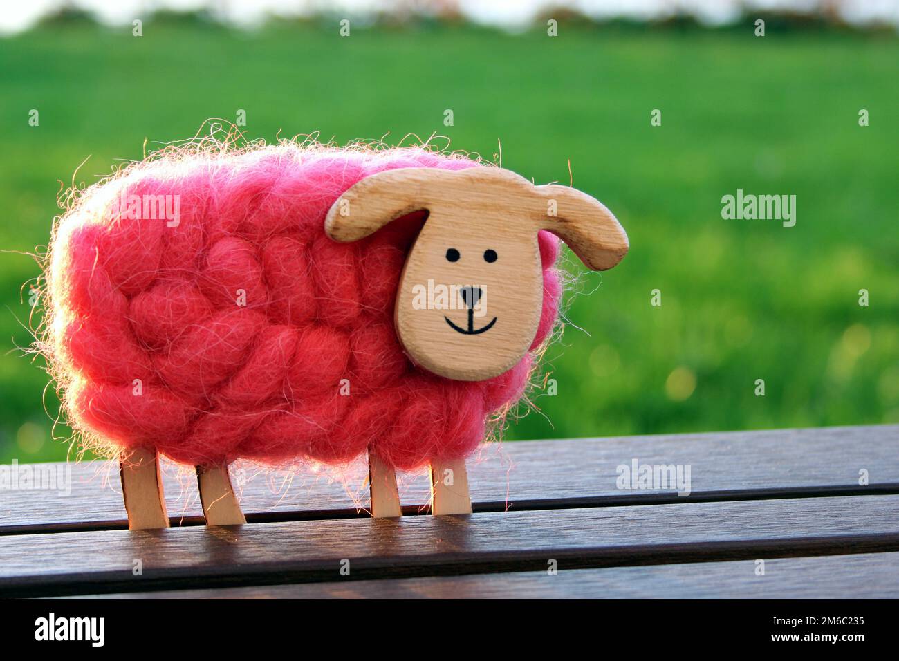 Pink sheep hi-res stock photography and images - Alamy