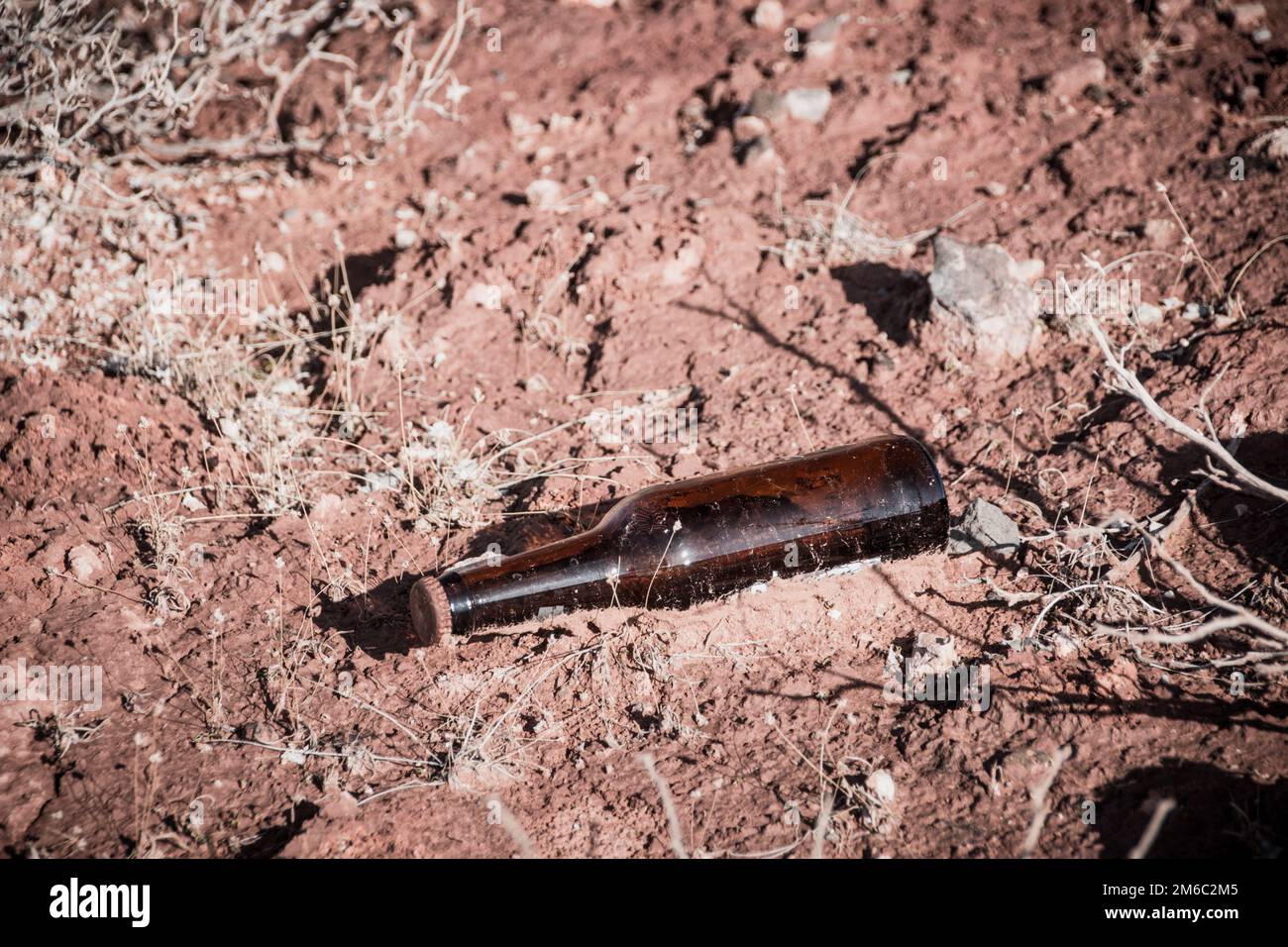 A glass bottle thrown away in the nature, pollution of the desert Stock ...