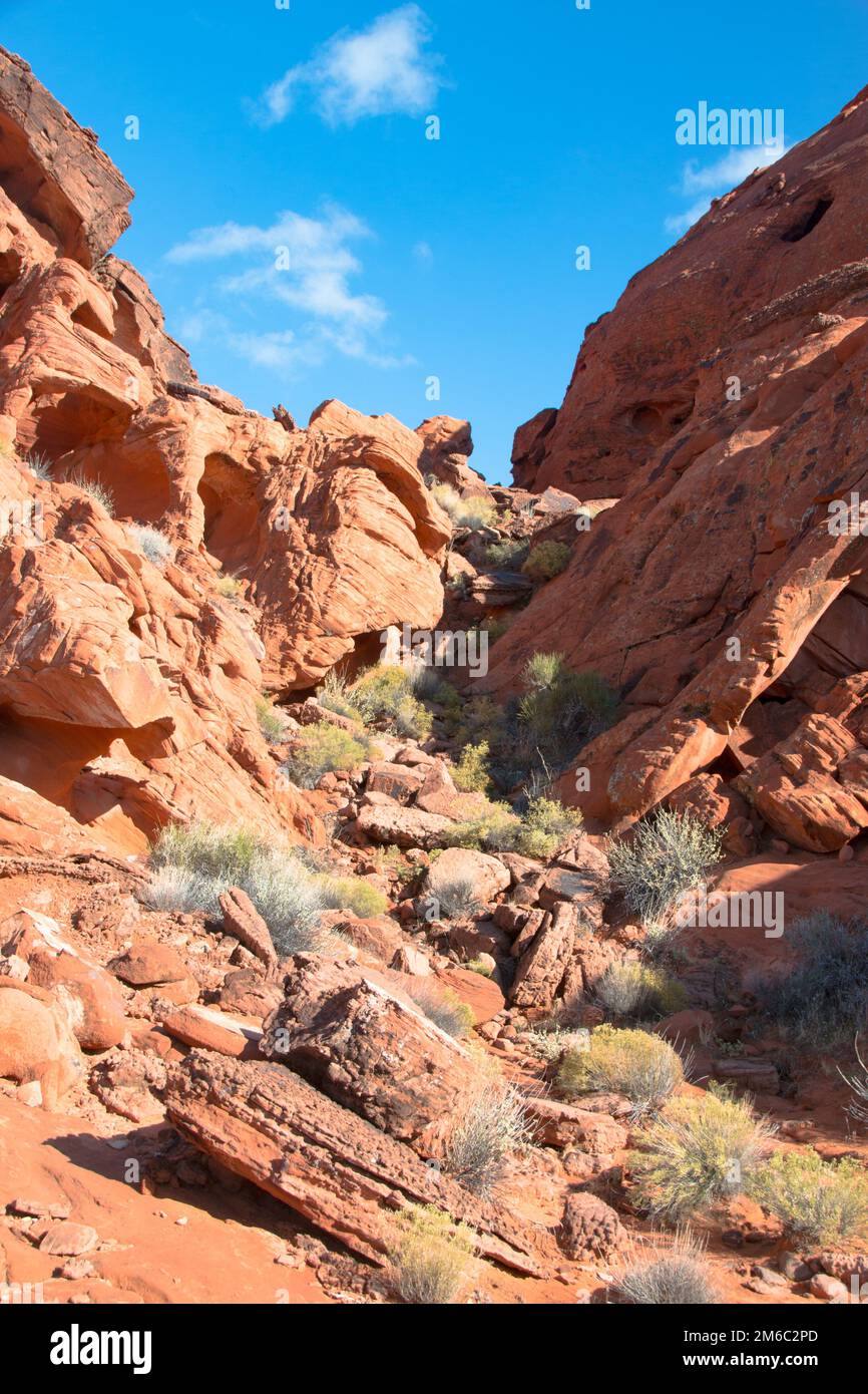 Red rock sandstone in the lake mead national recreation area, Nevada ...