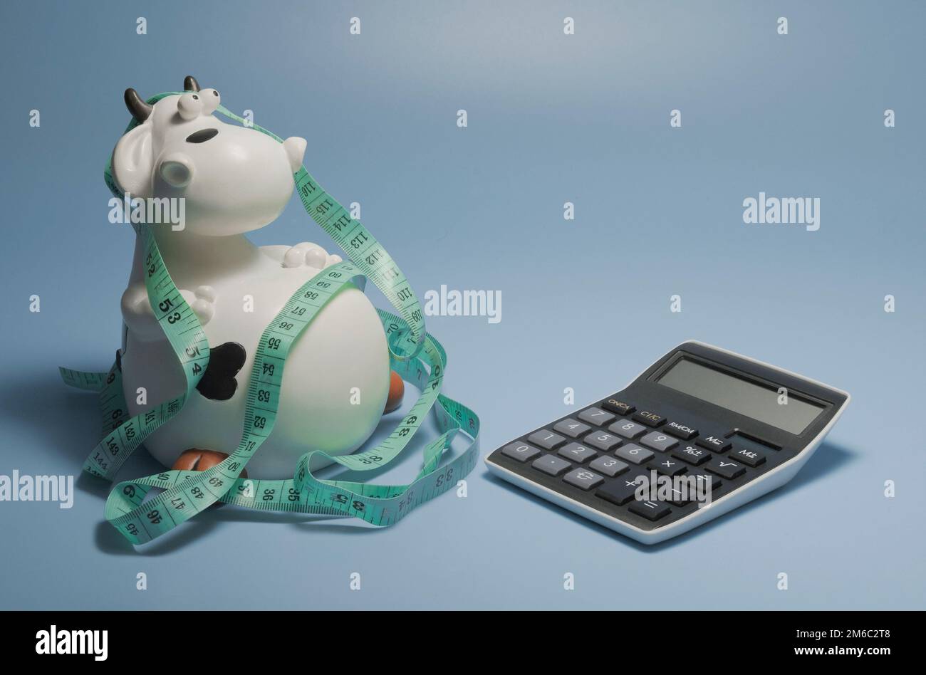 Cow and calculator. Fun composition Calorie counting Stock Photo - Alamy