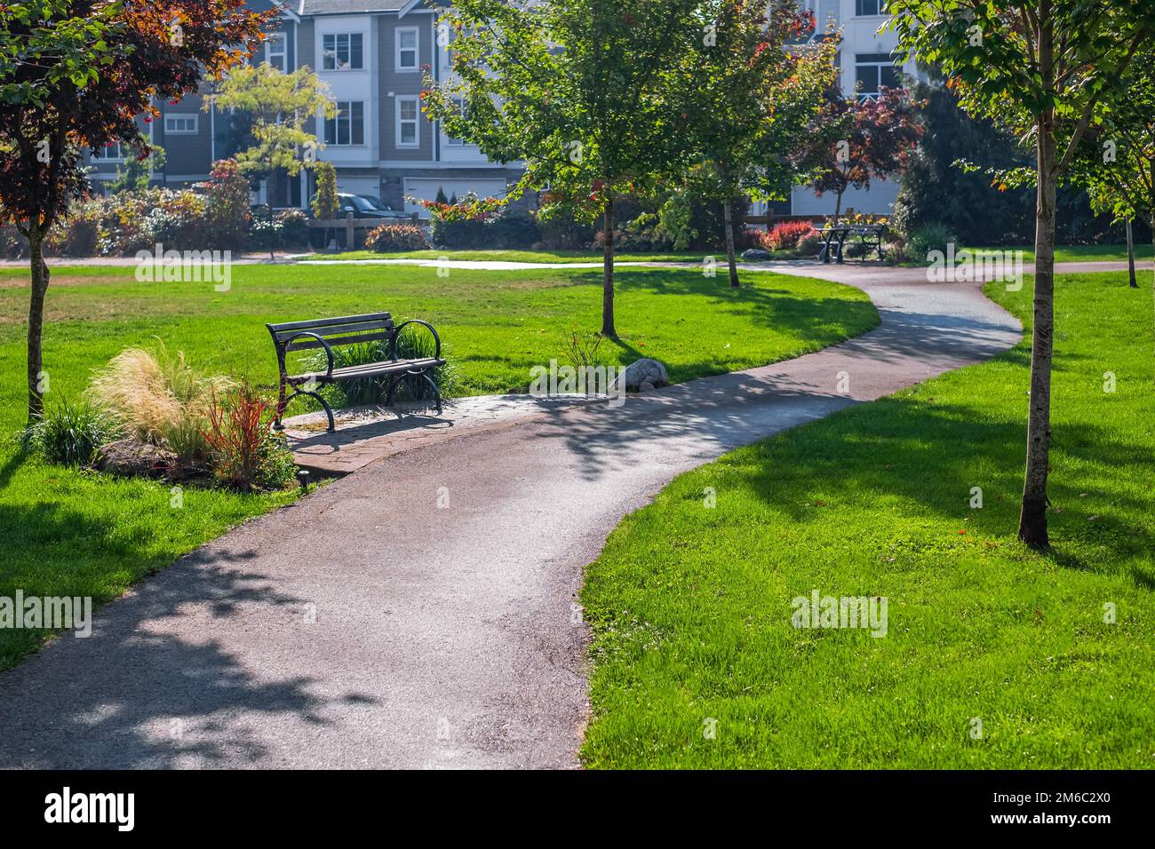 Walkway Lane Path With Green Trees in city park. Beautiful Alley, road ...
