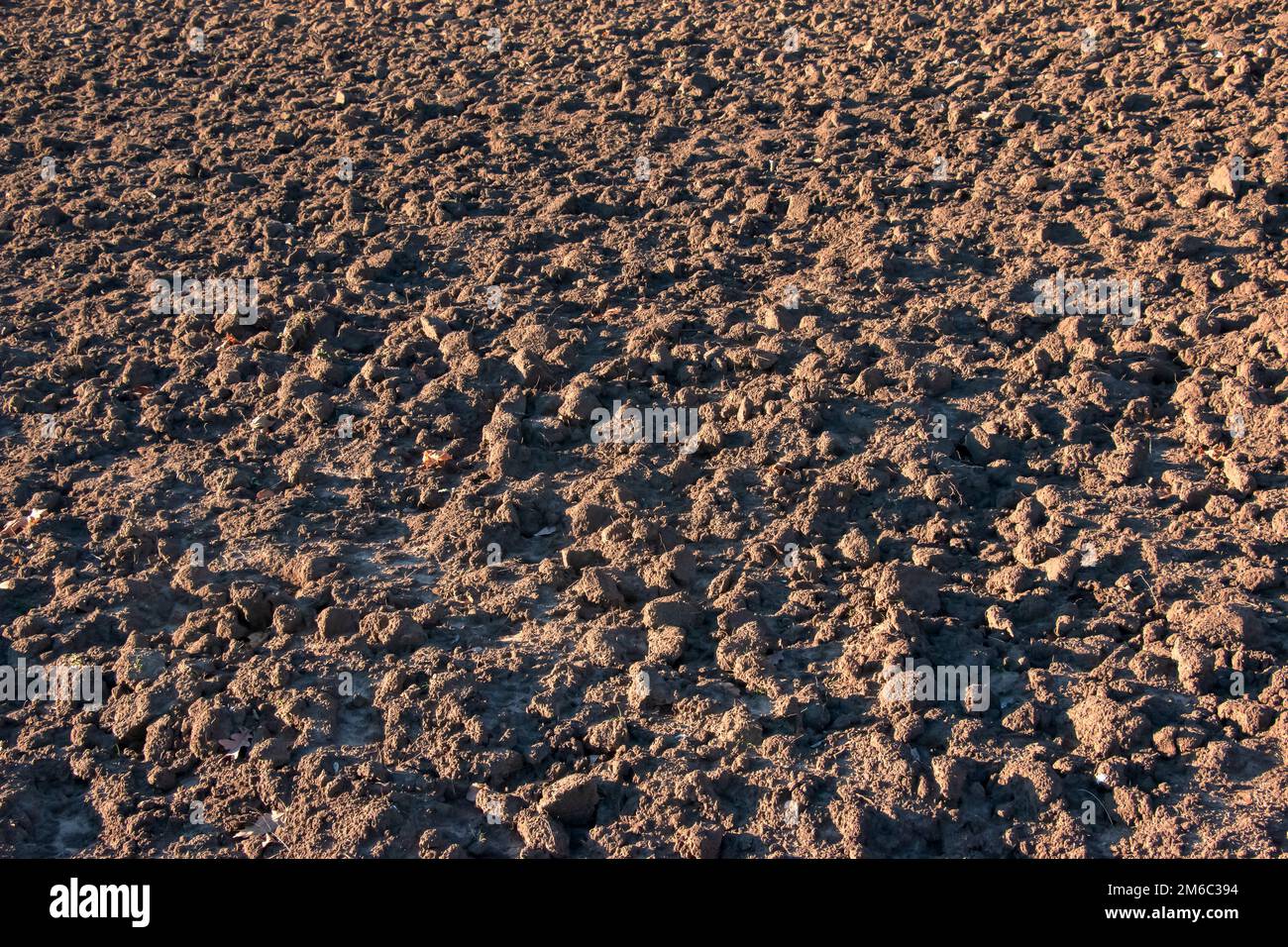 Soil texture background. Fertile soil suitable for planting. Plowed ...