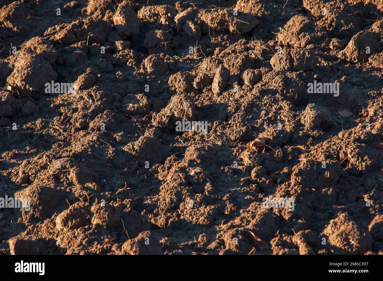 Soil texture background. Fertile soil suitable for planting. Plowed ...