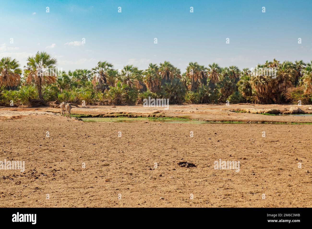 Kalacha oasis hi-res stock photography and images - Alamy