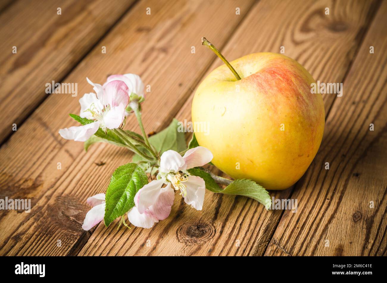 Ripe apple and blossoming branch of an apple-tree on a wooden surface ...