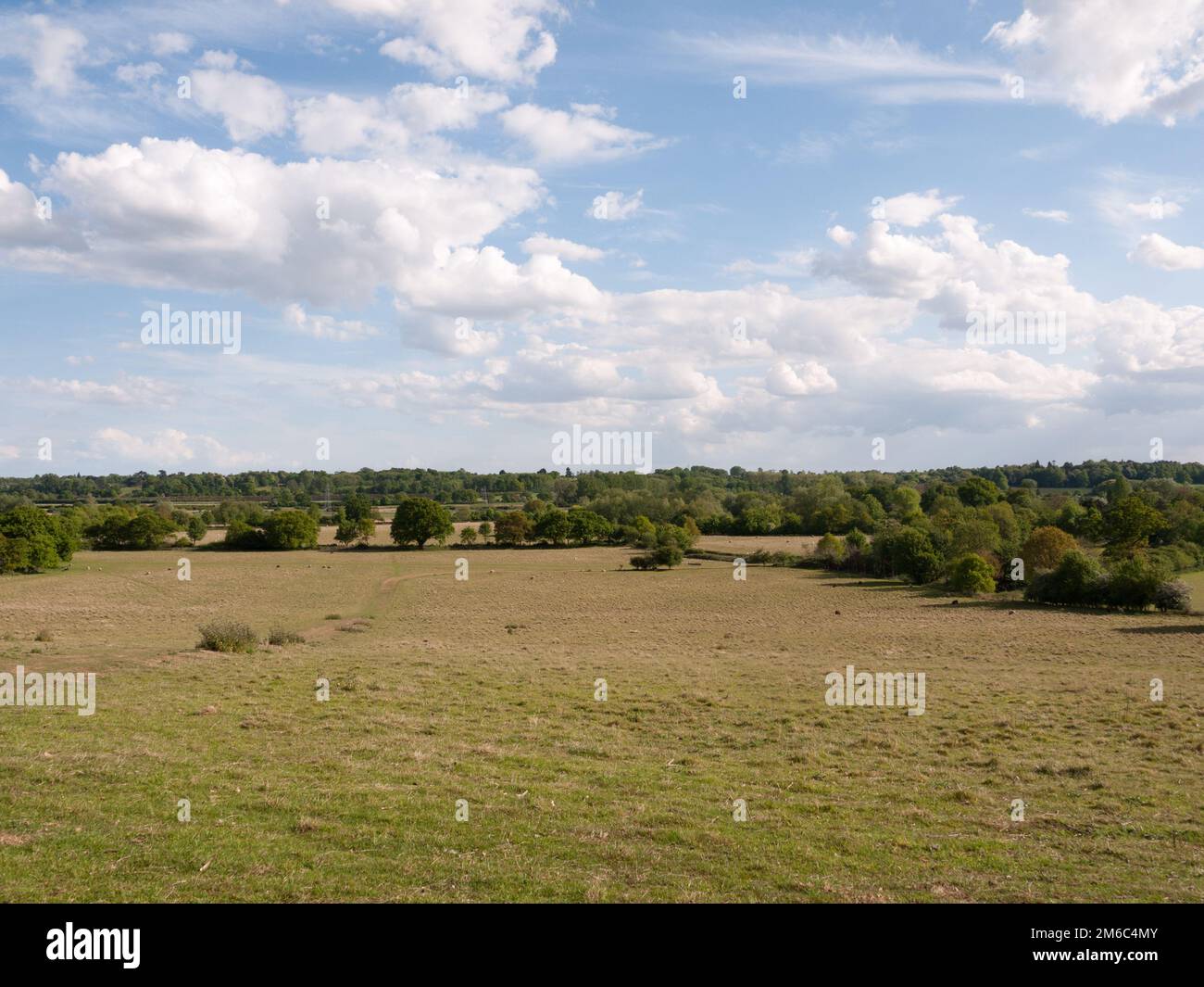 A big open bit of grassy countryside landscape with trees in the ...