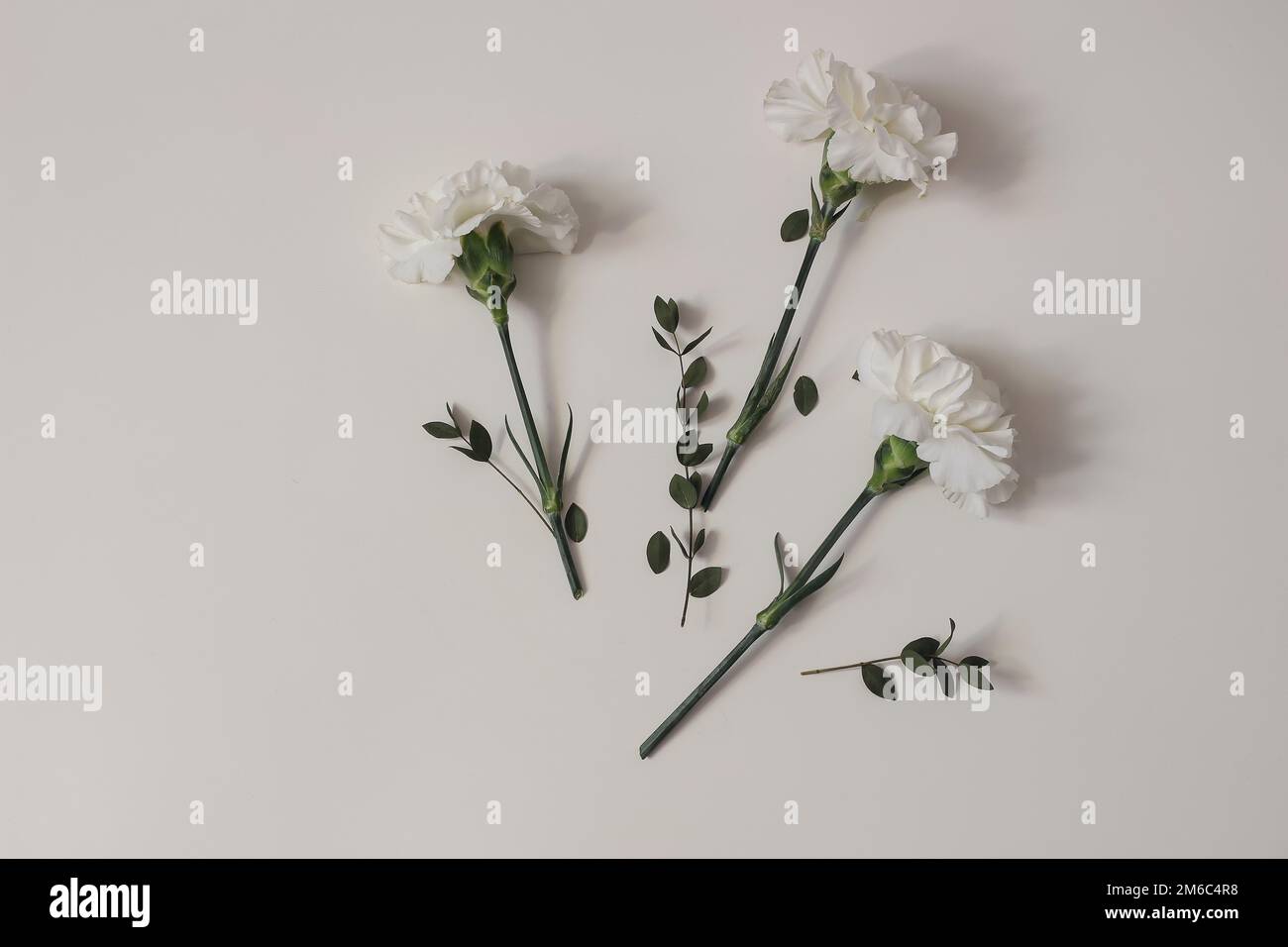 Floral composition. Wedding or birthday neutral still life with white ...