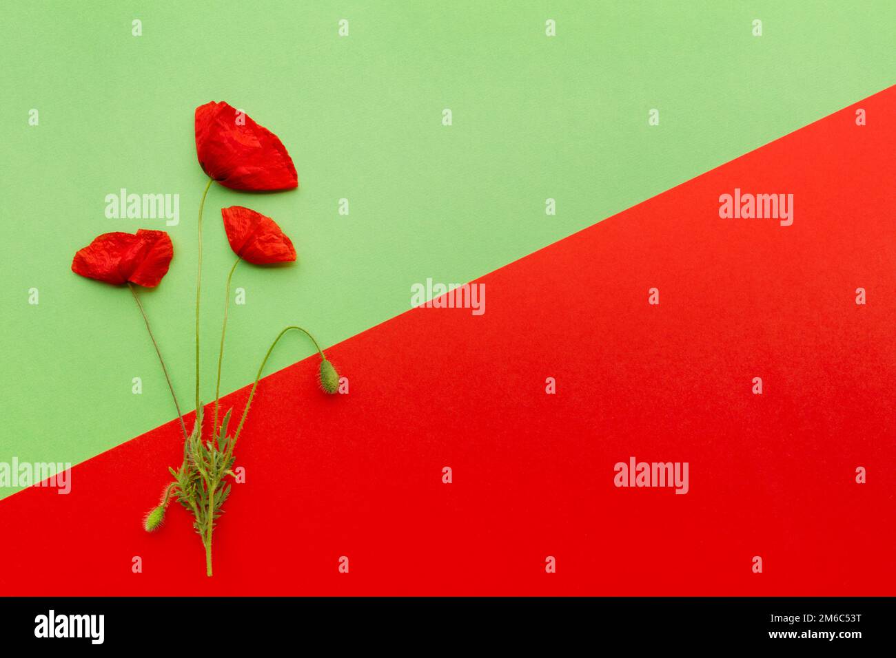 Floral red green card Stock Photo - Alamy