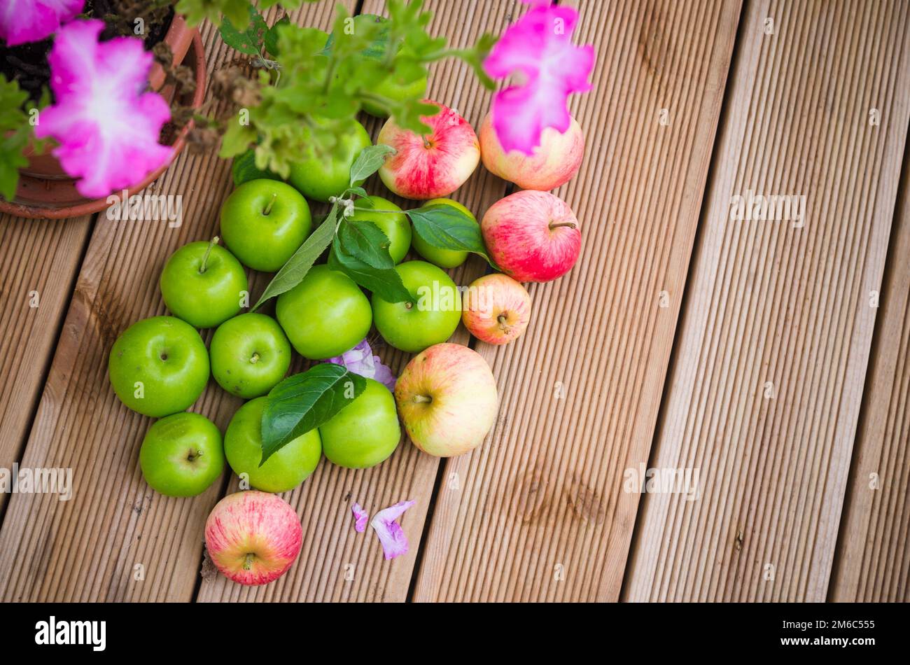 Leaf top surface hi-res stock photography and images - Alamy