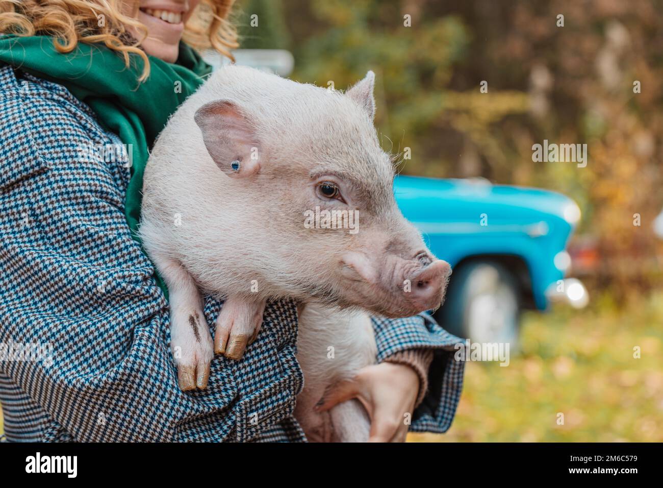 The girl in her arms holds a white mini-pig Stock Photo - Alamy