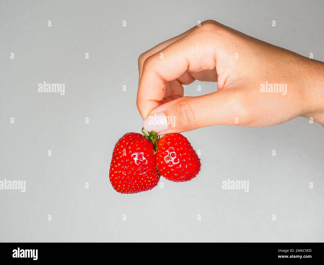 Female person holding a fresh red strawberries isolated towards gray ...
