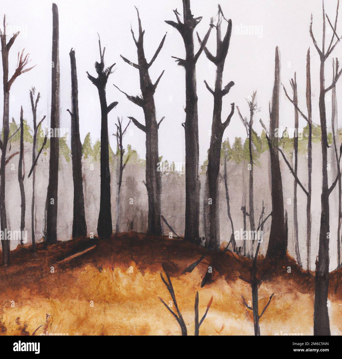 Burnt forests hi-res stock photography and images - Alamy