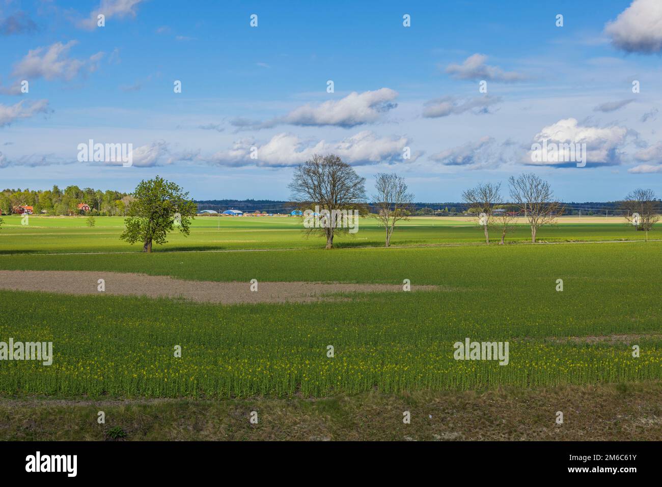 Beautiful nature countryside landscape view. Green fields on blue sky ...