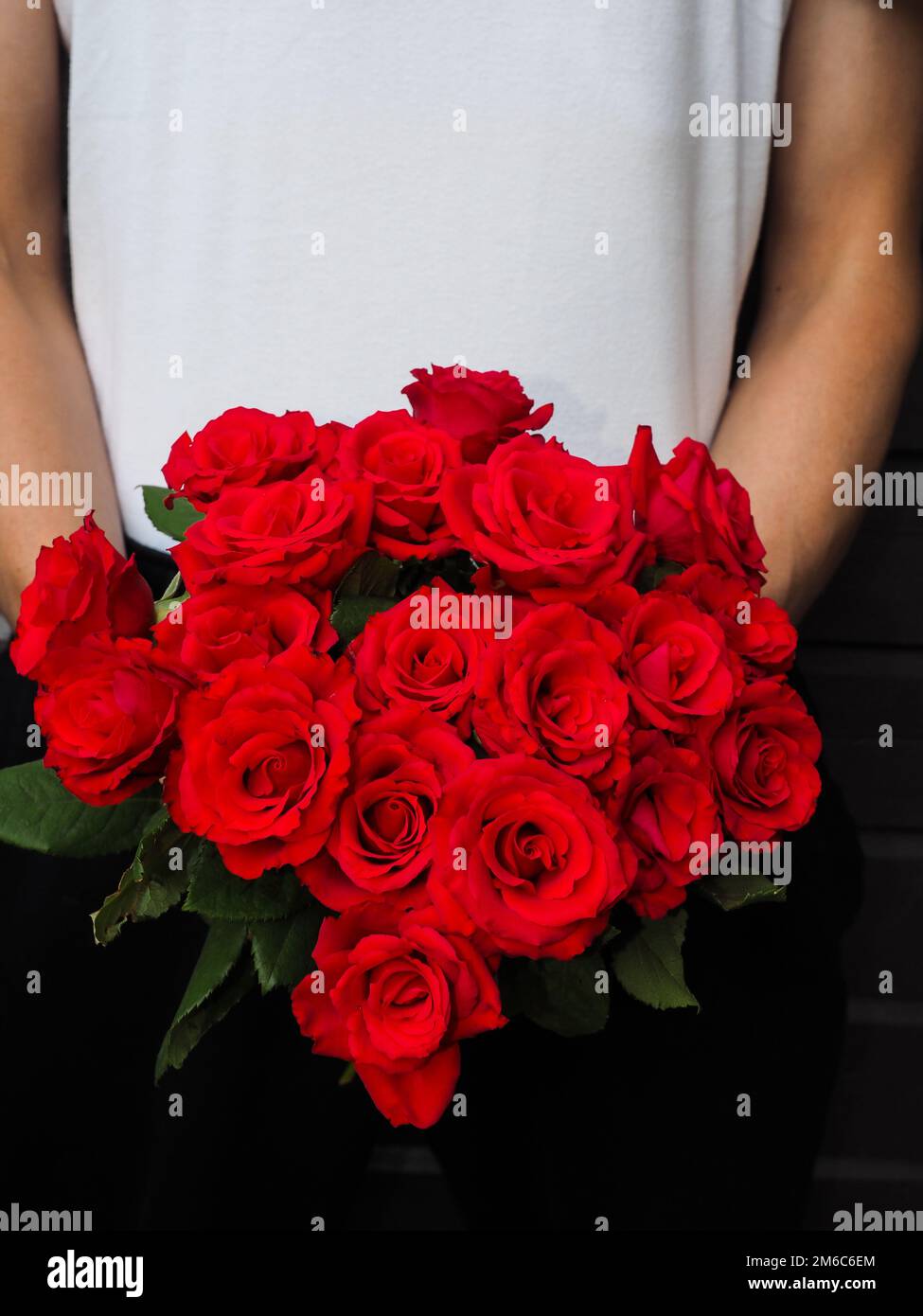 Male person holding a beautiful bouquet of red roses Stock Photo - Alamy