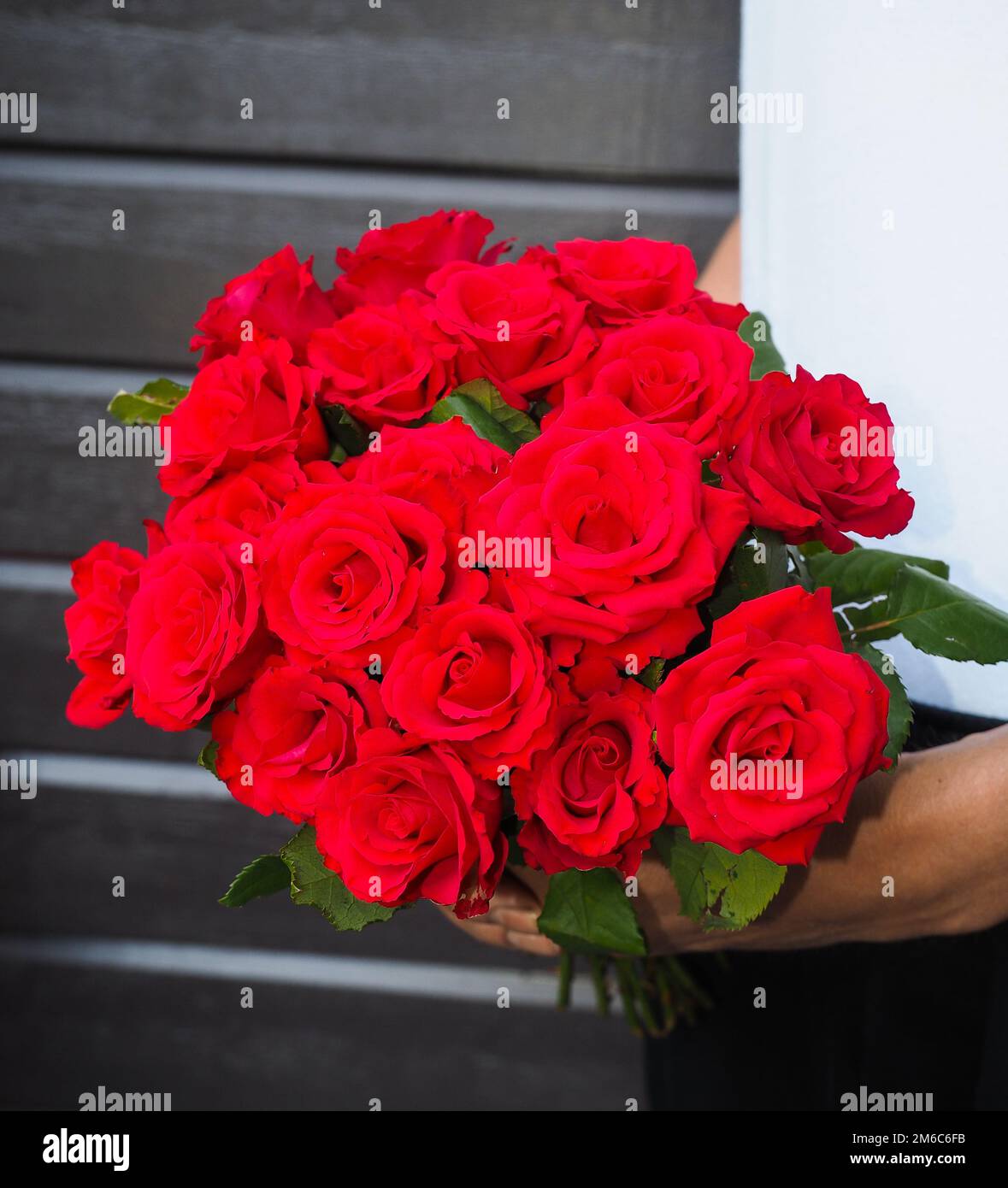 Male person holding a beautiful bouquet of red roses Stock Photo - Alamy