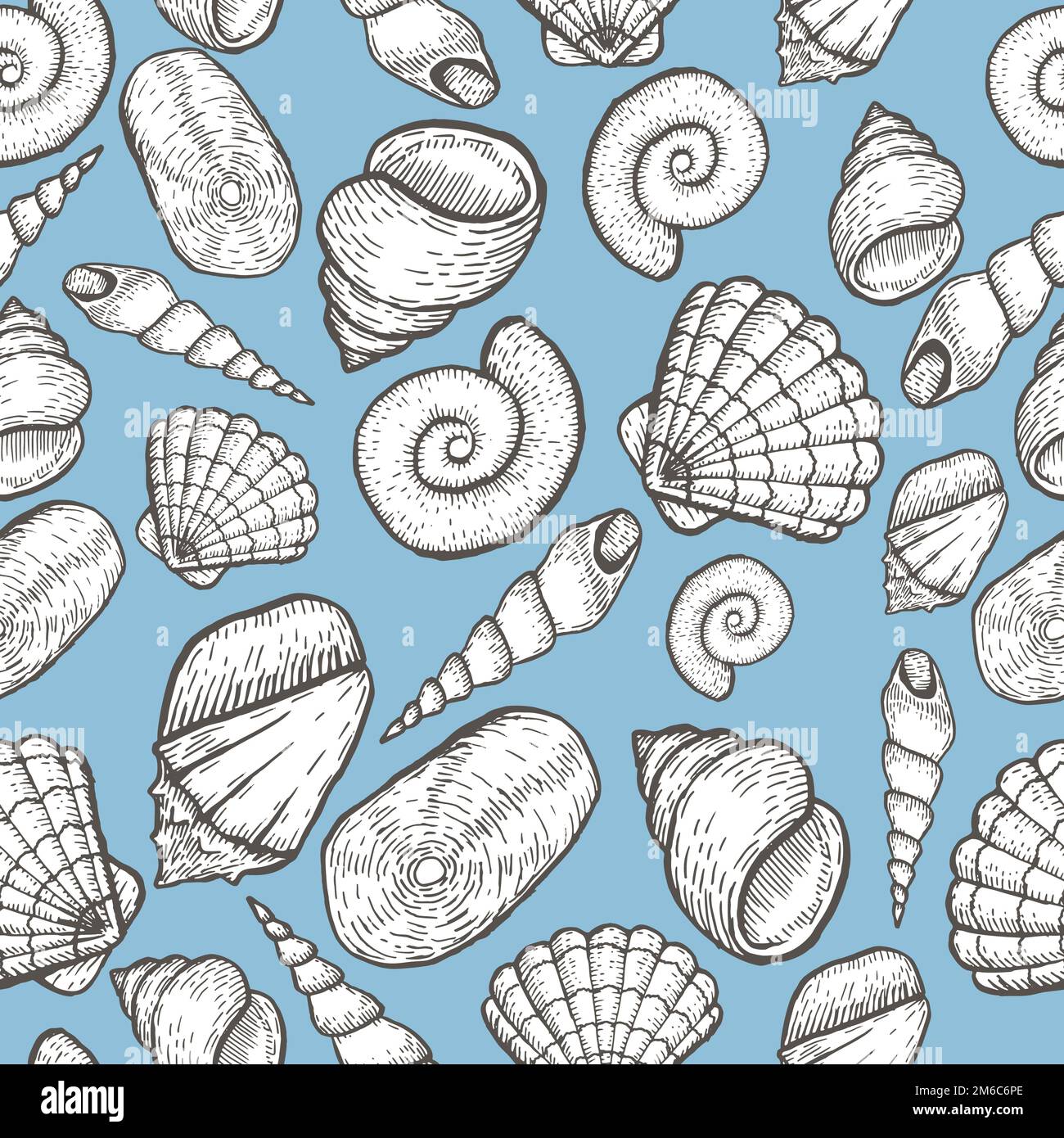 Seashell collection hand drawn aquatic doodle illustration. Sketch ...