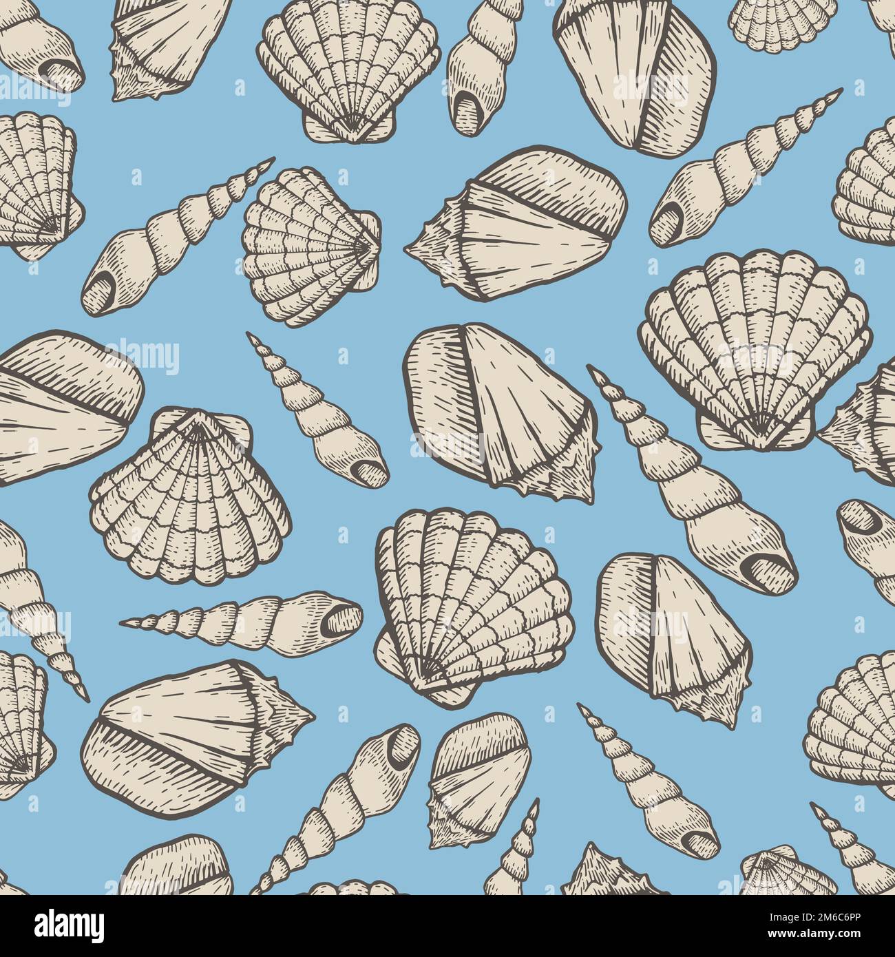 Seashell collection hand drawn aquatic doodle illustration. Sketch ...