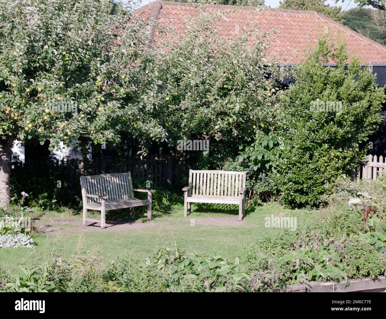 Outdoor tree benches hi-res stock photography and images - Alamy