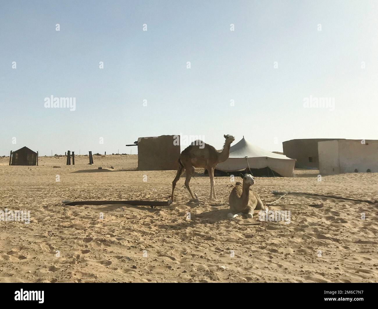 Inal hi-res stock photography and images - Alamy