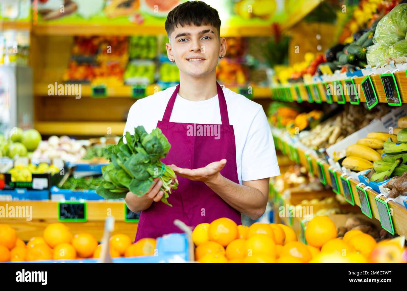 Grocery store employee counter hi-res stock photography and images - Alamy