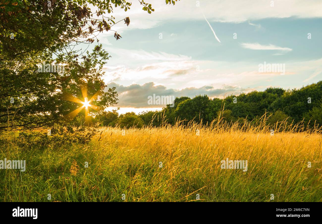 Real sunset hi-res stock photography and images - Alamy