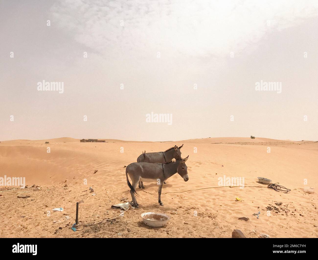 Mauritania, Chinguetti, Old town Stock Photo - Alamy
