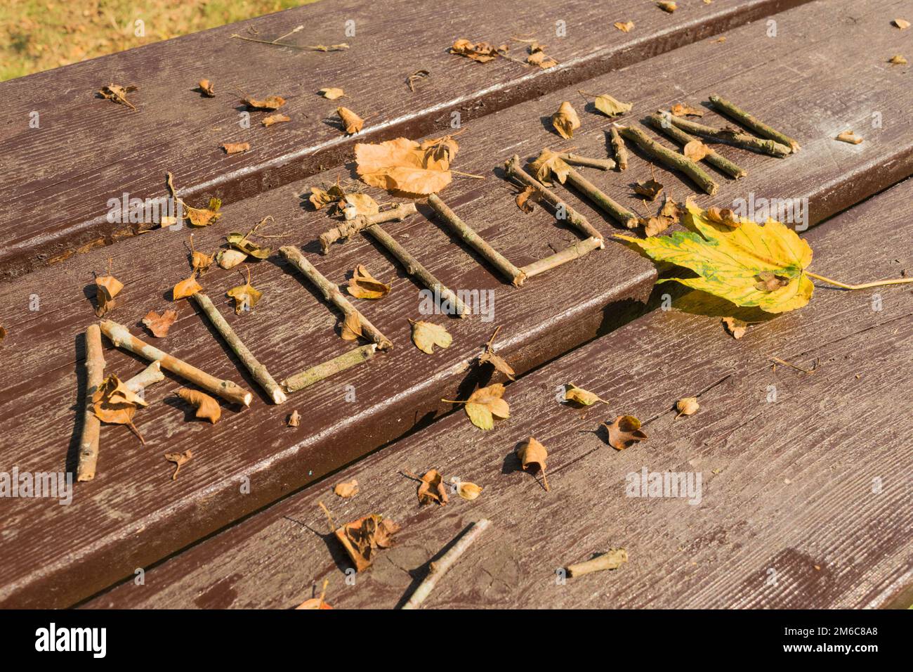 Ree branches hi-res stock photography and images - Alamy