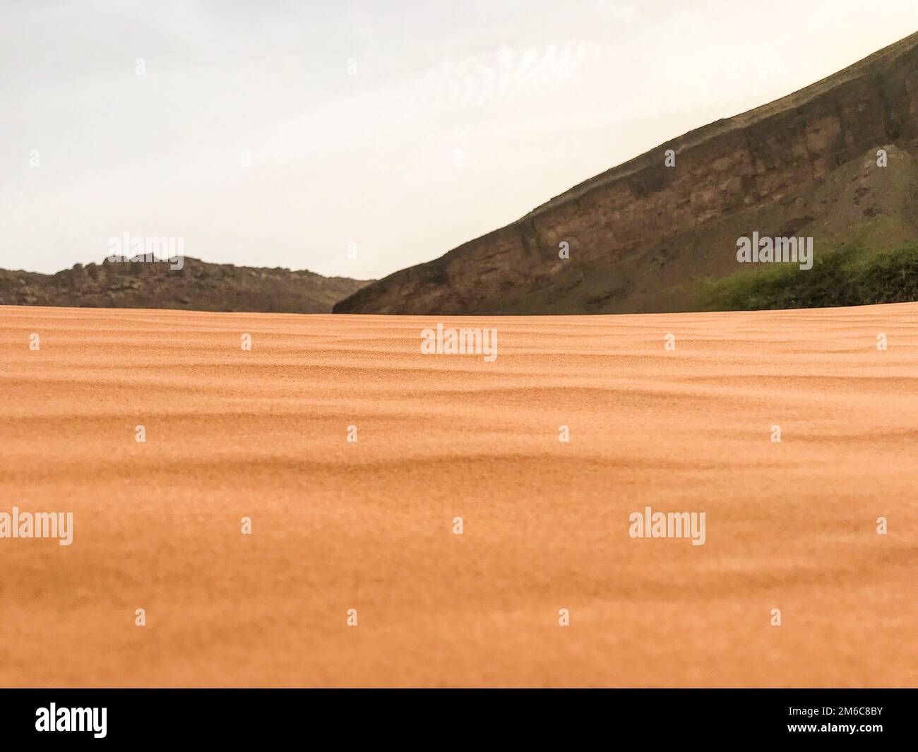 Mauritania, Terjit Oasis, sand dunes Stock Photo - Alamy