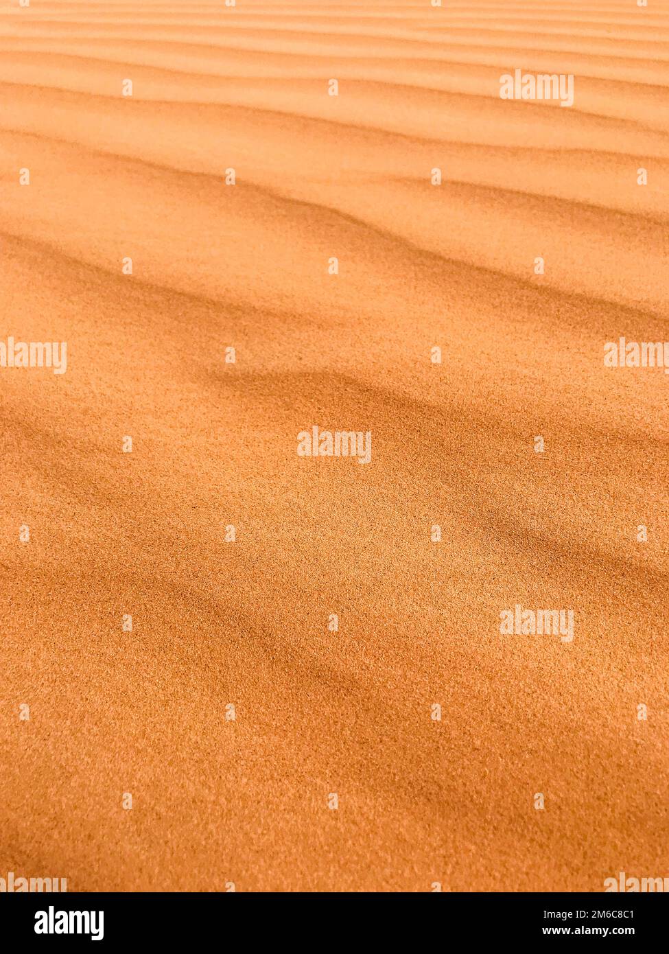 Mauritania, Terjit Oasis, sand dunes Stock Photo - Alamy