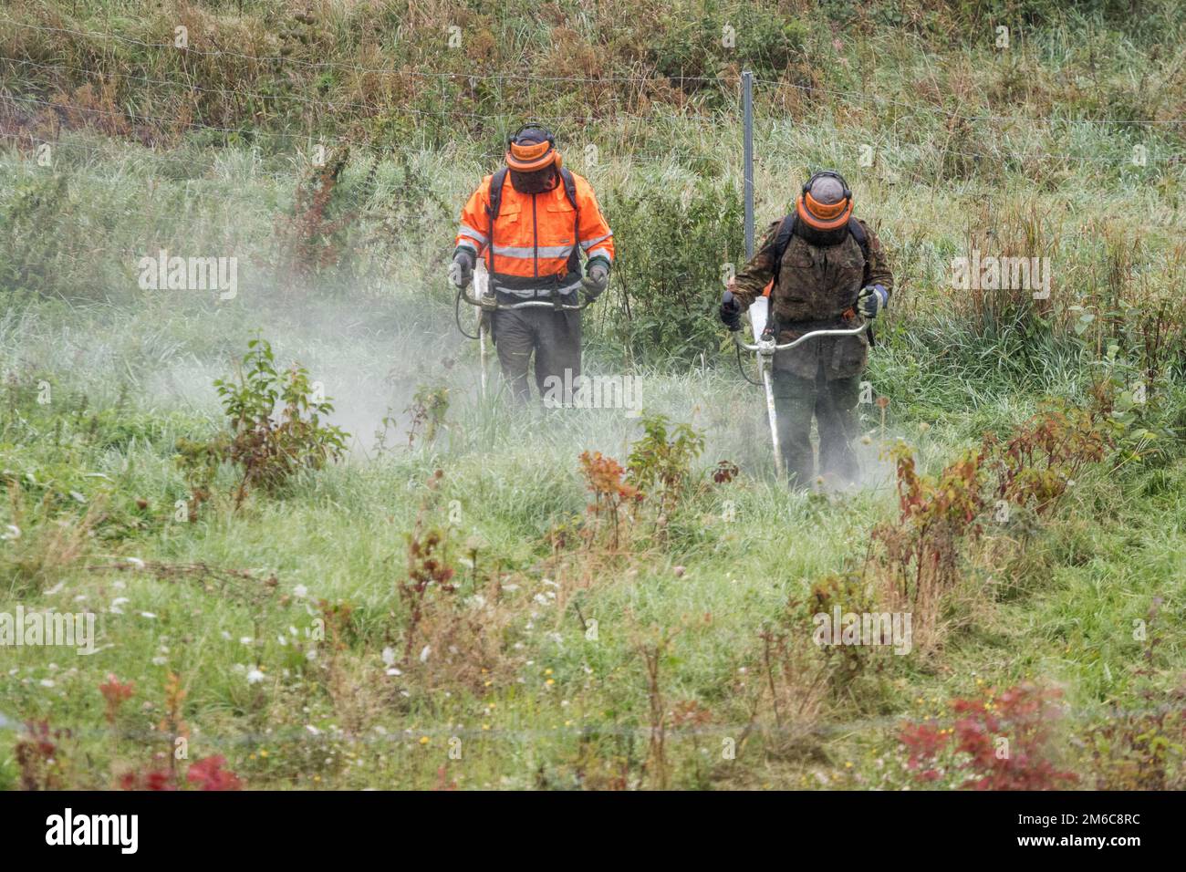 Green axis Berlin - Nuremberg - Environmental protection at the new ...