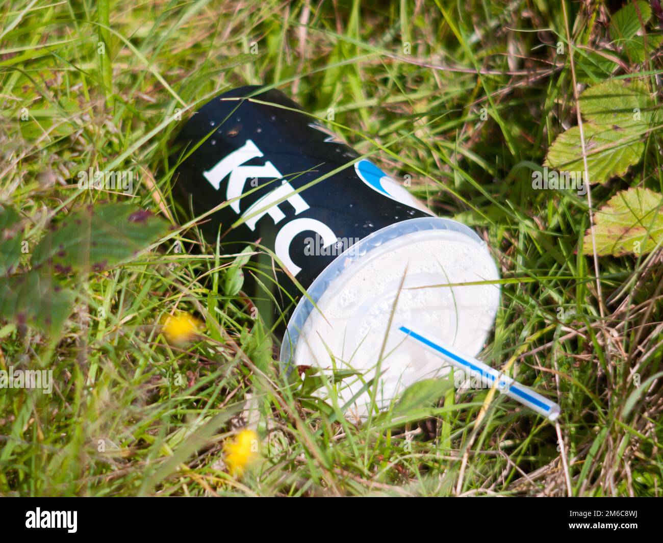 Close up of discarded plastic cup with straw outside grass floor kfc ...