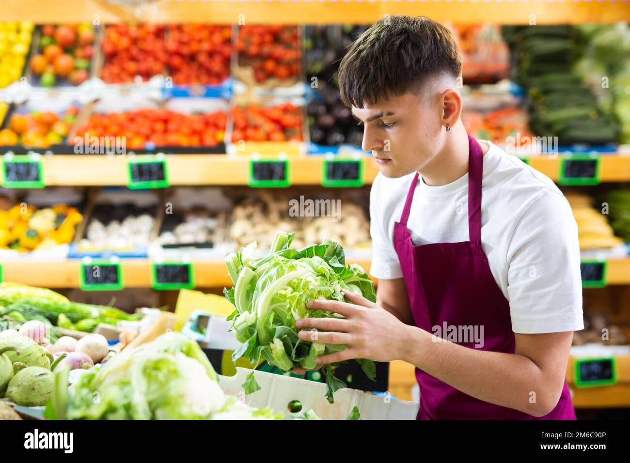 Portrait of positive man working showing fresh cauliflower in grocery ...