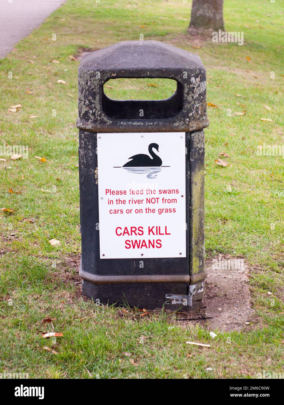 Swan sign outside on black bin do not feed Stock Photo - Alamy