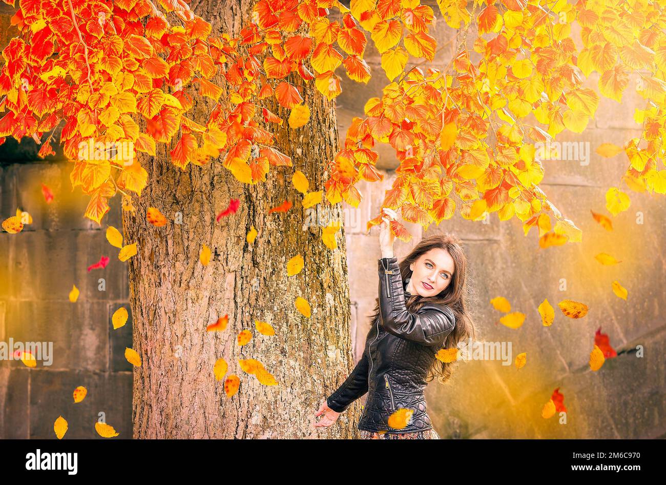 Smiling woman under a tree with falling leaves Stock Photo - Alamy