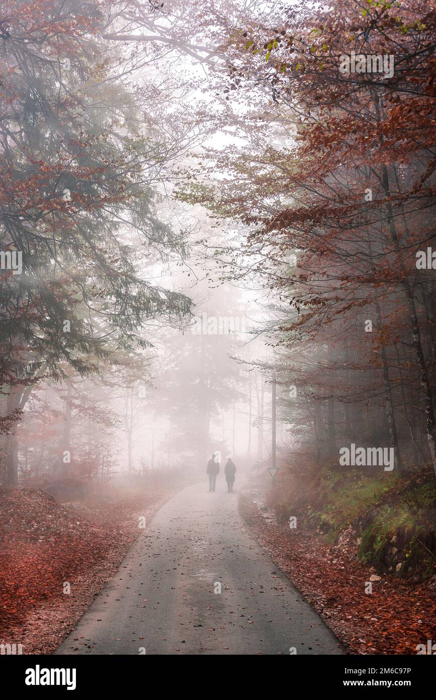 Mist germany road hi-res stock photography and images - Alamy