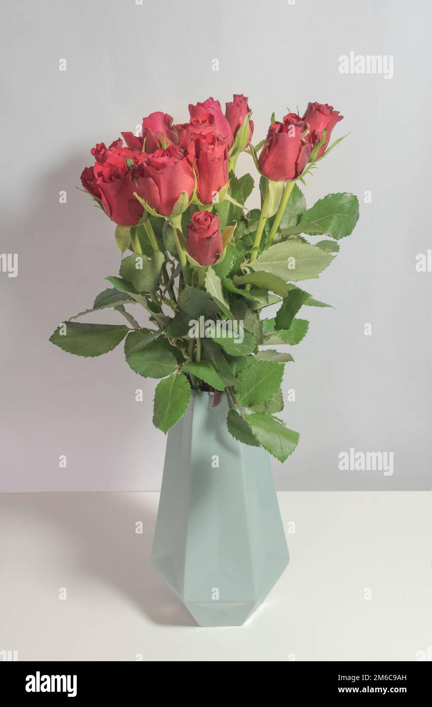 Simple bouquet of ordinary red roses on white table and white ...