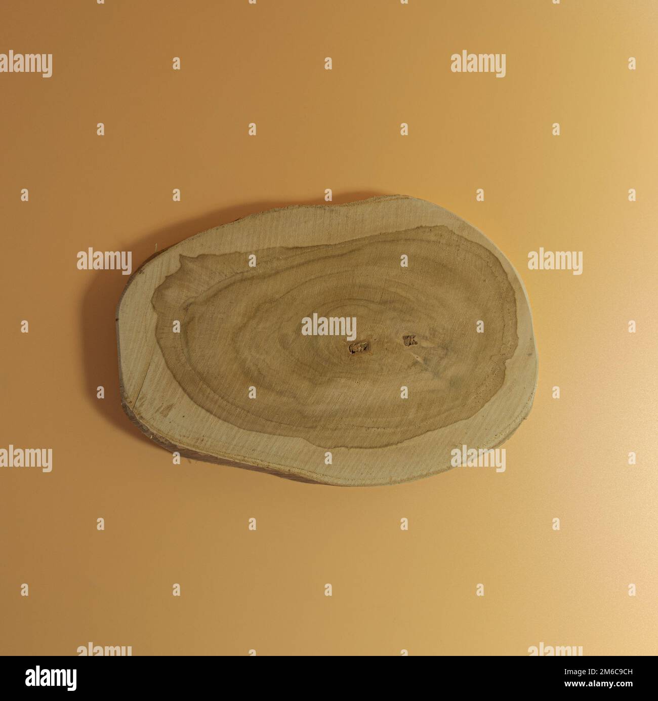 Slice of a tree on an orange background. Center top view Stock Photo ...