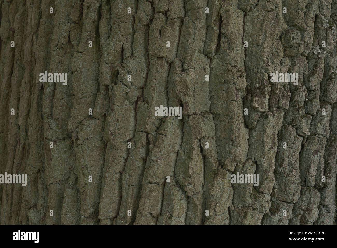 Hammered texture hi-res stock photography and images - Alamy