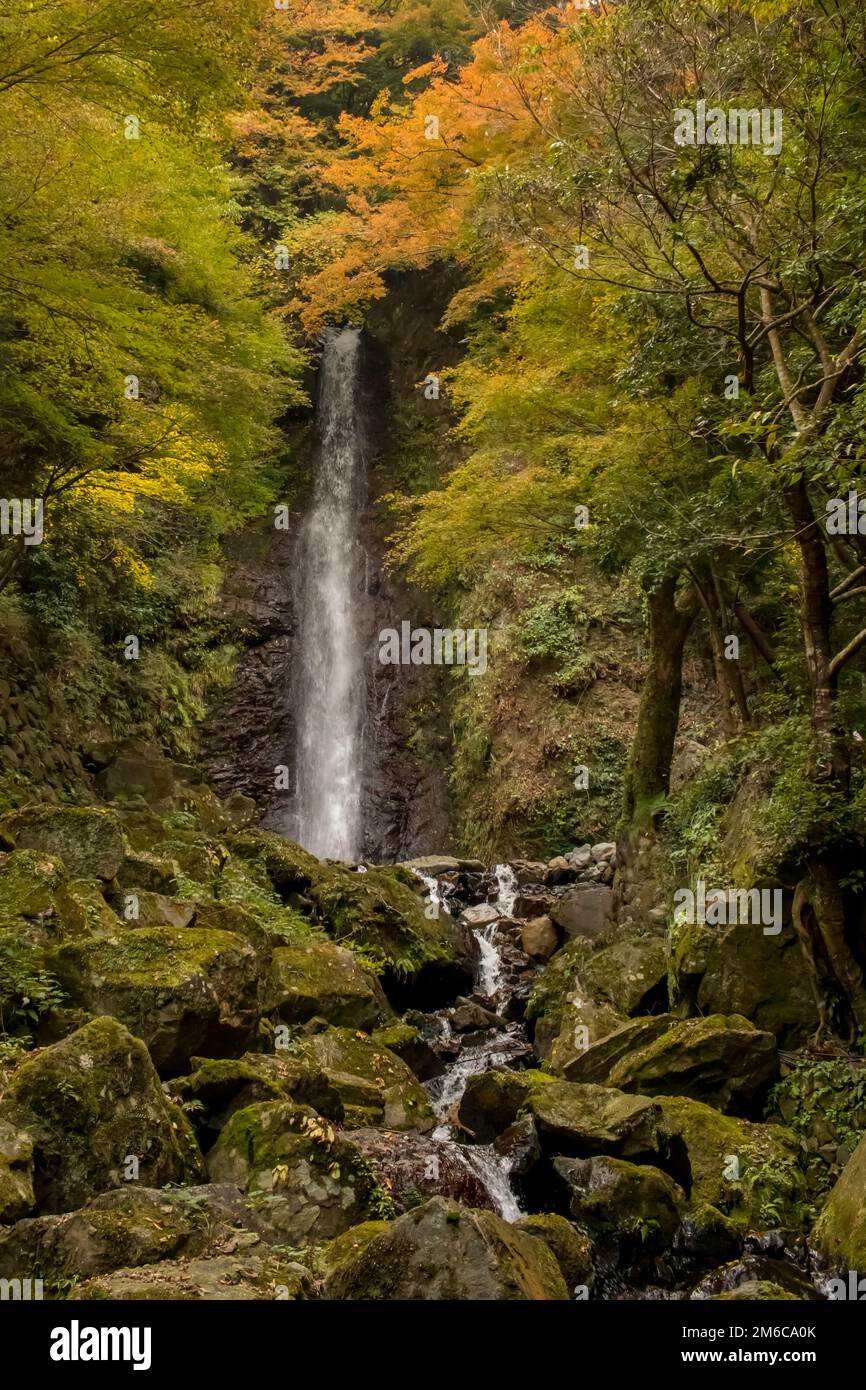 The Water Falling at the Yoro Waterfall in Gifu, Japan, November, 2016 ...