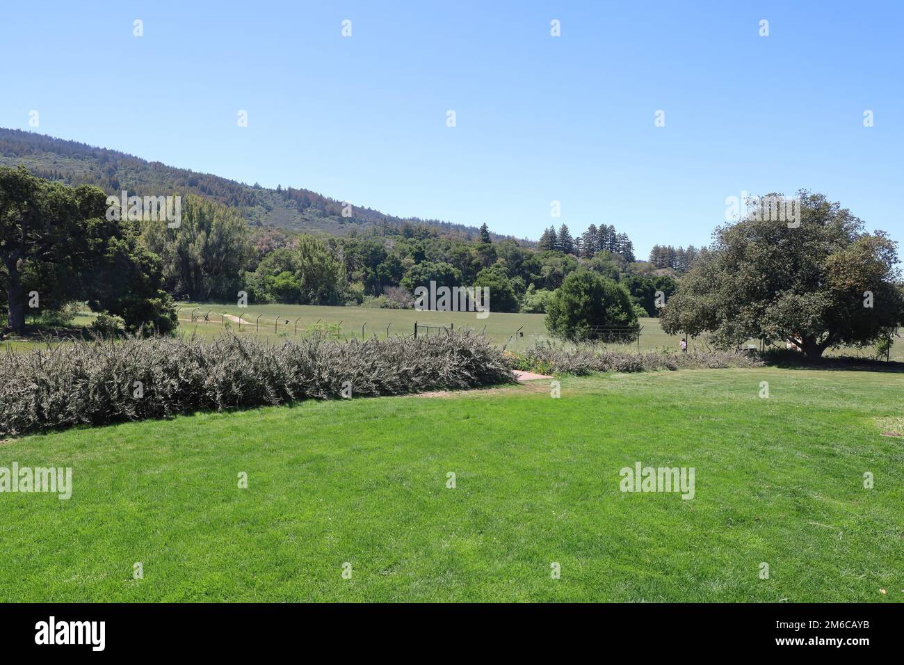 Victoria gardens california hi-res stock photography and images - Alamy