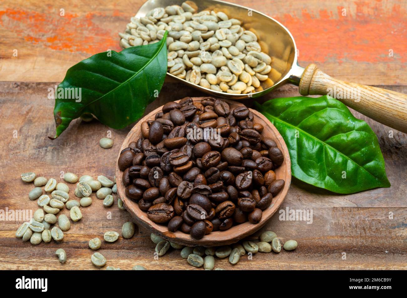 Green and roasted coffee beans from South America coffee producing ...