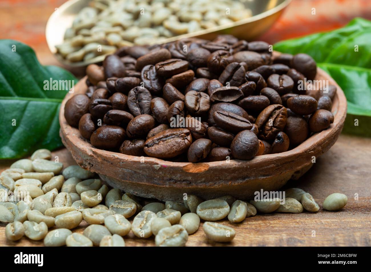 Green and roasted coffee beans from South America coffee producing ...