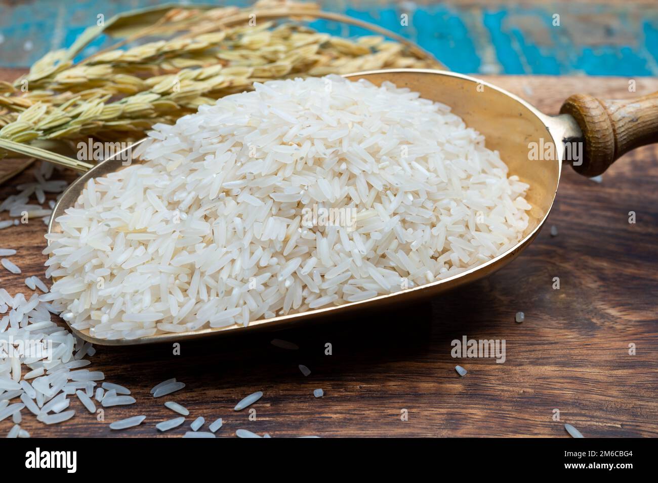 Organic white uncooked rice and dried Indian basmati rice plant ...