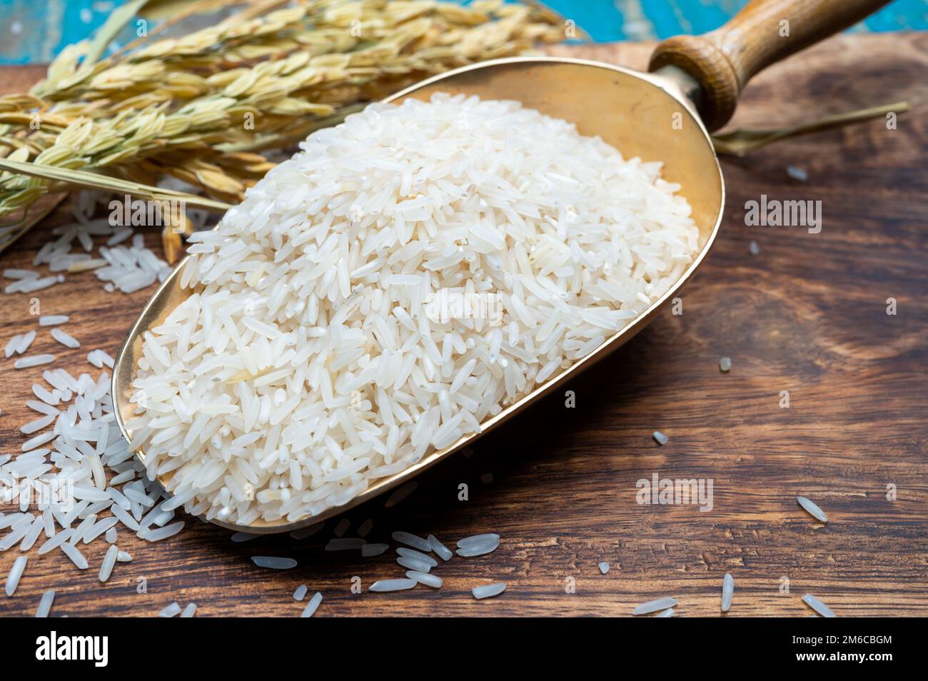 Organic white uncooked rice and dried Indian basmati rice plant ...
