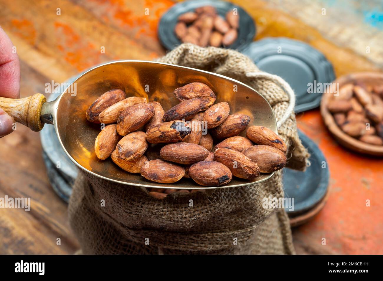 Cocoa or cacao beans, used in hot chocolate drink, chocolate, butter ...