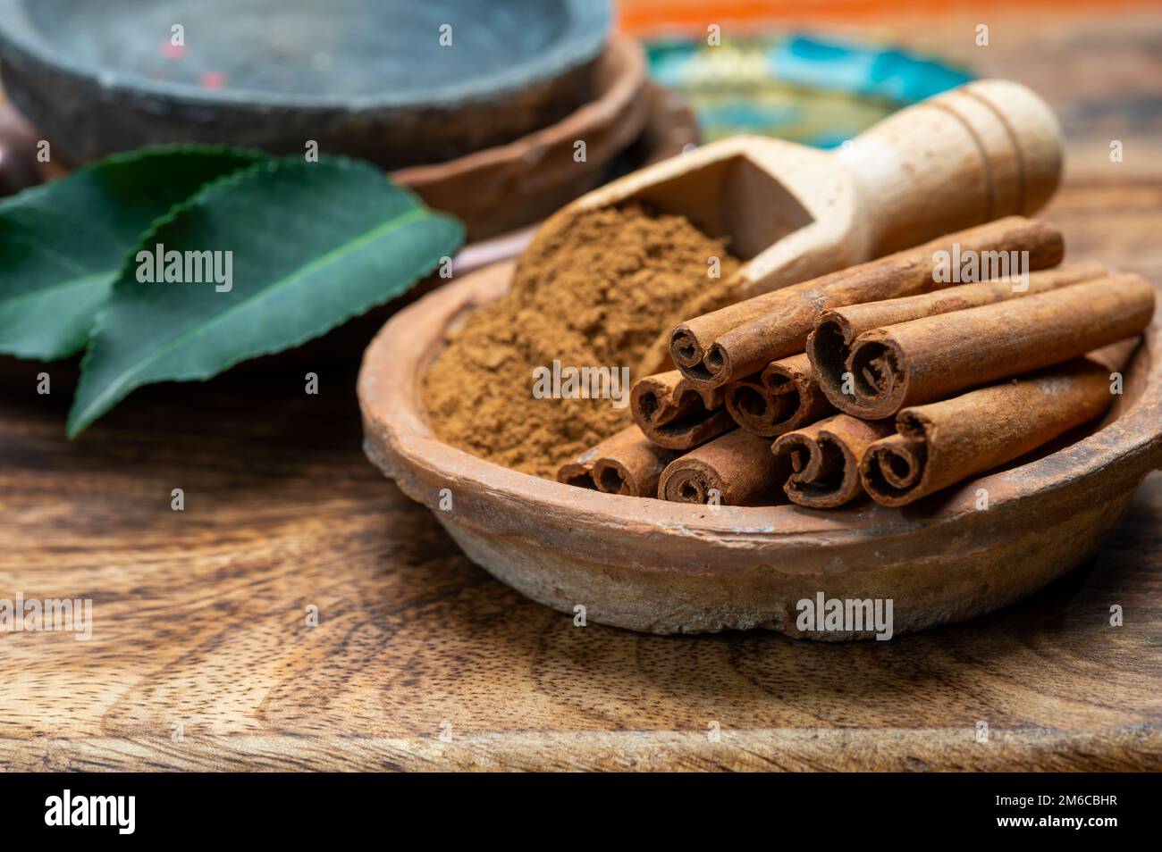 Indian spices collection, dried aromatic cinnamon barks and another ...