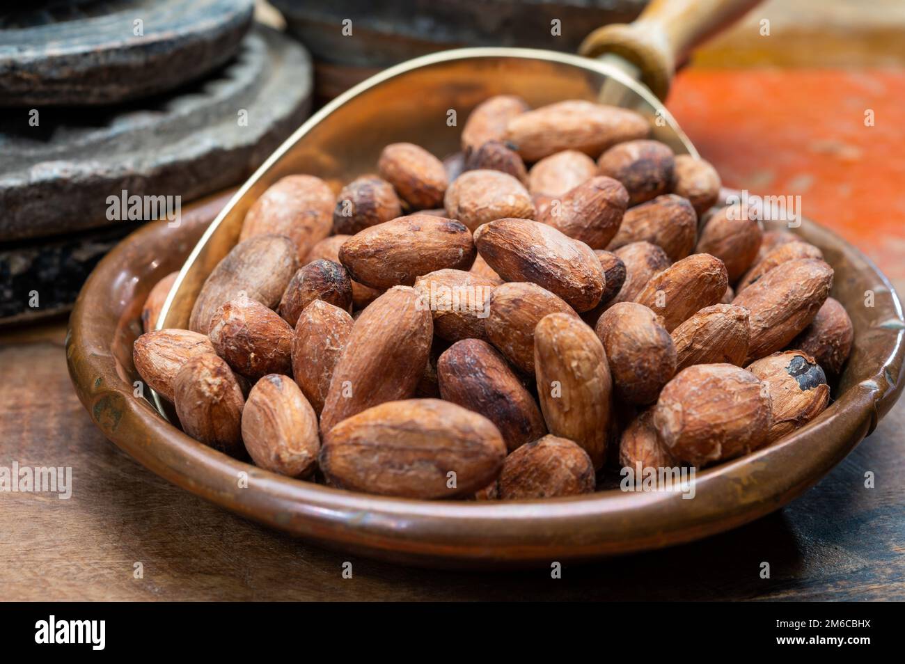 Cocoa or cacao beans, used in hot chocolate drink, chocolate, butter ...